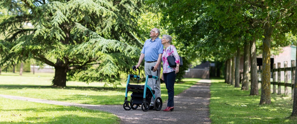 2 in 1 Rollator Wheelchair - Rollz Motion